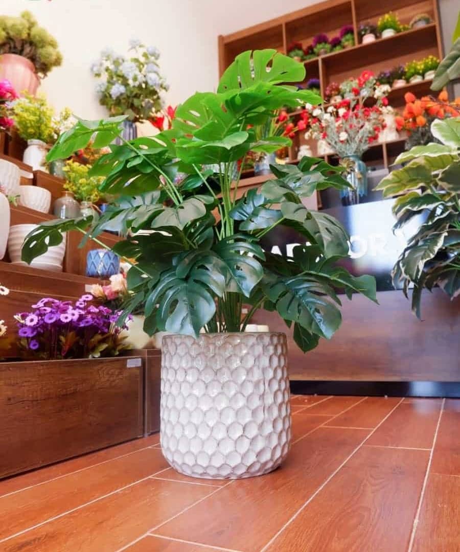 Cây Giả Trang Trí – Hoa Decor