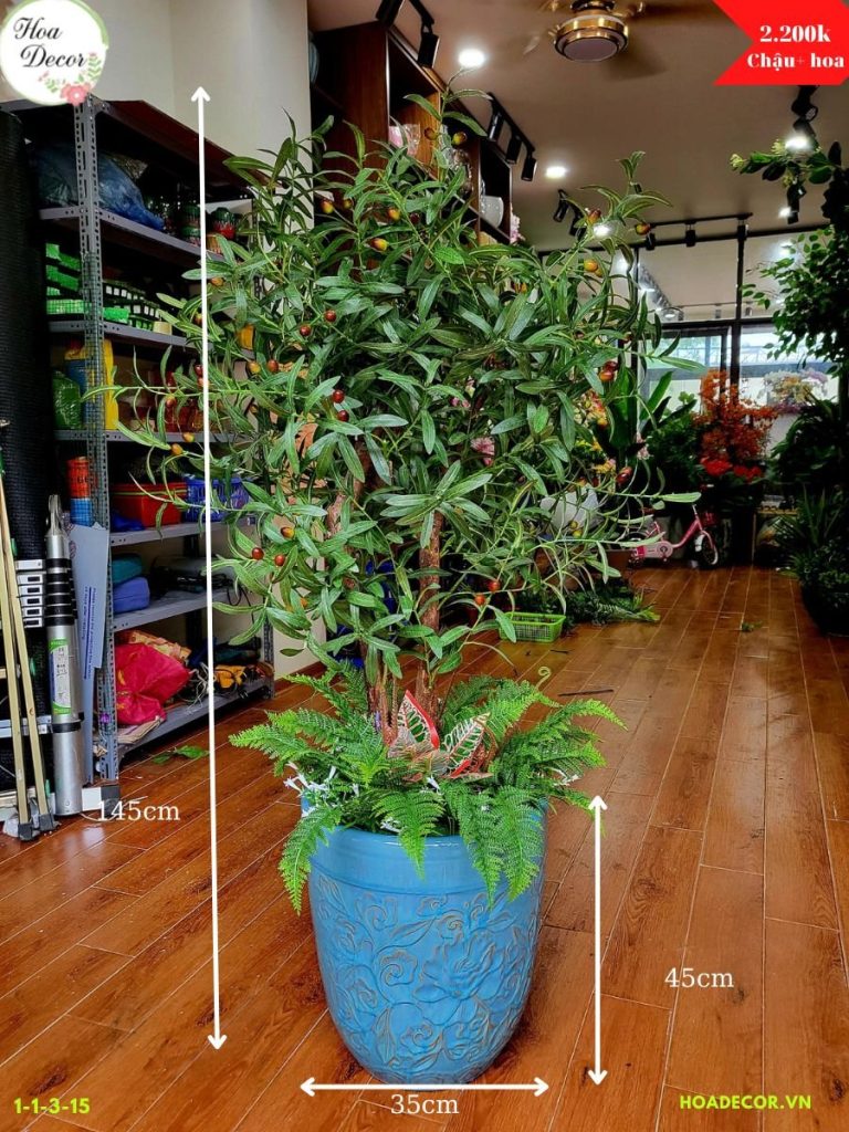 Cây Oliu Giả – Chậu Cây Olive Giả 1,2m – 1,6m Decor Trang Trí – Hoa Decor