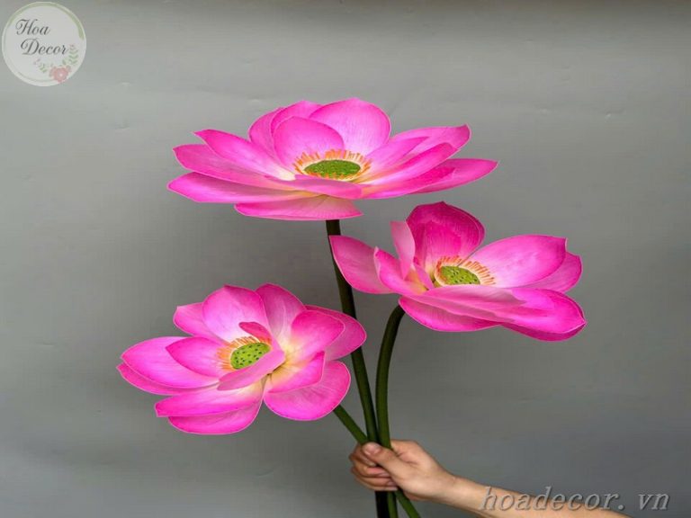 Kinh nghiệm trang trí hoa sen giả cho bục bác Hồ – Hoa Decor